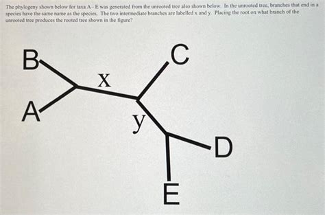 The Phylogeny Shown Below For Taxa A E Was