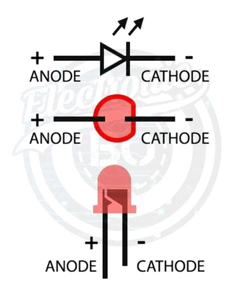 LED Pinout Teaching Lessons Computer Science Electrical Engineering
