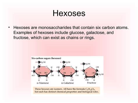 Macromolecules Carbohydrates Ppt