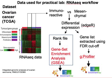 Module 3 Lab Gsea Visualization Pathways
