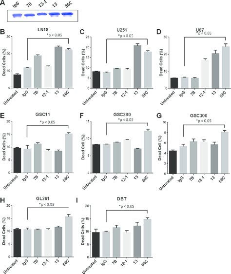 csv specific mab 86c targets tumor cells across cell lines the download scientific diagram