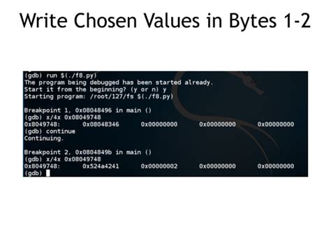 Cnit 127 Ch 4 Introduction To Format String Bugs Rev 2 9 17 Ppt