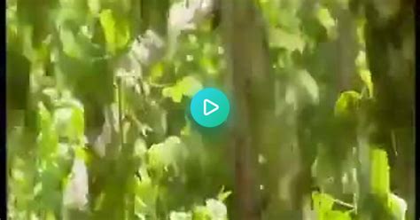 No Se Puede Creer Album On Imgur