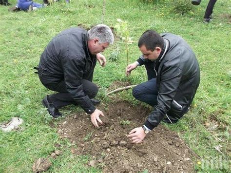 Засаждат нови дръвчета в парковете във Велинград Информационна агенция ПИК