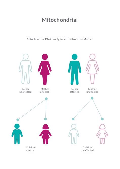 Mitochondrial Chain Respiratory Complex Iv Metabolic Support Uk