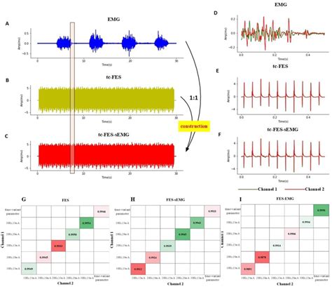 Construction For Simulation Emg Data With Time Constant Parameter Fes
