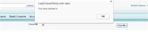 Visualforce I Wanna Make Input Text Field Required Using Javascript