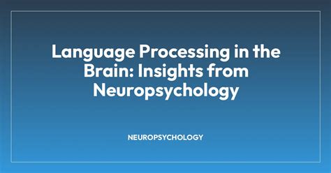 Language Processing In The Brain Insights From Neuropsychology • Psychology Town