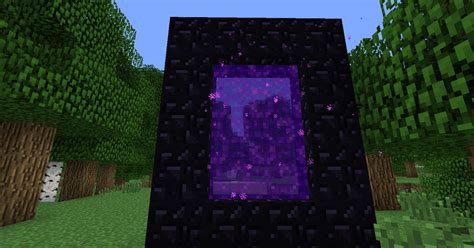 File Netherportal Png Official Minecraft Wiki