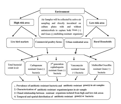 Sampling Strategy And Framework Download Scientific Diagram