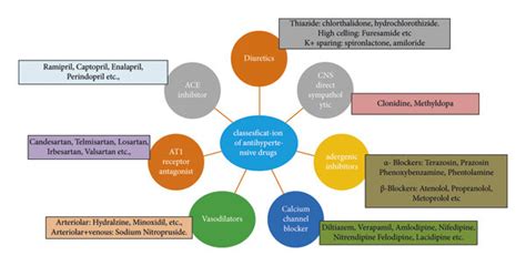 Classification Of Antihypertensive Agents Download Scientific Diagram