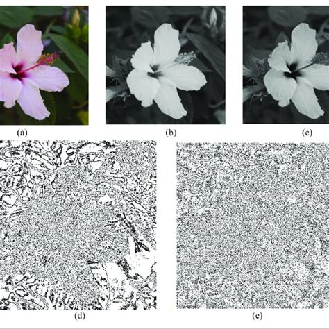 procedure of color image steganography download scientific diagram
