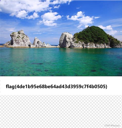 Nsctf测试平台misc解题教程nsctf平台 Csdn博客