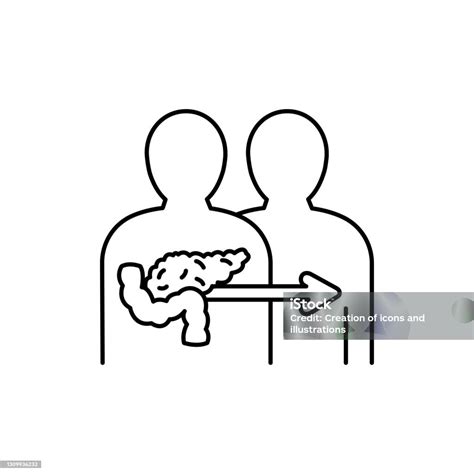 췌장 이식 색상 라인 아이콘 먹는 쇼 자율 감각 자오선 응답 소리를 즐기는 상징으로 음파 편집 가능한 스트로크 개념에 대한 스톡 벡터 아트 및 기타 이미지 Istock