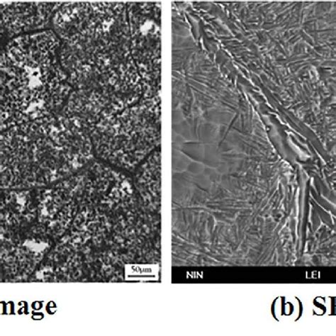 Microstructures Of Ti 22al 24nb 3v Y Cast Ingot Download Scientific