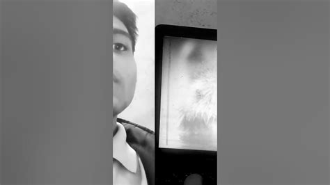 Day 03ofcoadingbrowsing Wondering Pythonforbeginners Pythonprogramming Html Youtube