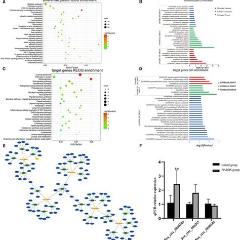 Bioinformatics Analysis A The Y Axis Represents The Top 30 Enriched Download Scientific