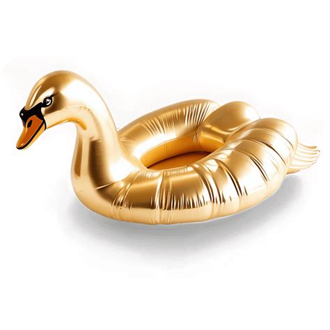100 Pool Float Png Images