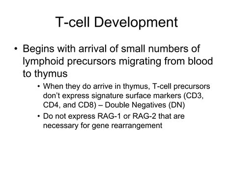 T Cell Development Maturation Activation And Differentiation PPTX