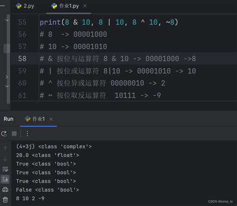 数据类型处理与运算符示例 Csdn博客