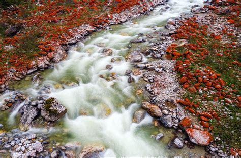 大疆无人机的这次升级，动静有点大啊！7月27日之前啊