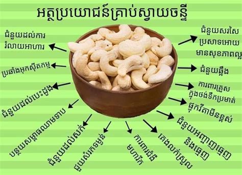 អត្ថប្រយោជន៍គ្រាប់ស្វាយចន្ទីខ្មែរ គ្រាប់ស្វាយចន្ទីខ្មែរ Facebook