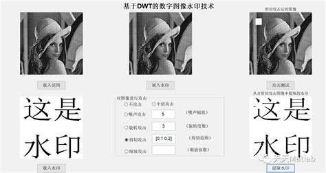 【图像隐藏】基于小波变换dwt实现数字水印嵌入提取含各类攻击附matlab代码 阿里云开发者社区