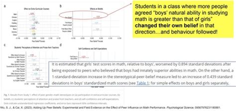 Lecture Culture Flashcards Quizlet