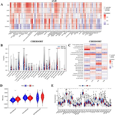 Levels Of Immune Cell Infiltration And Tme Characteristics Between The