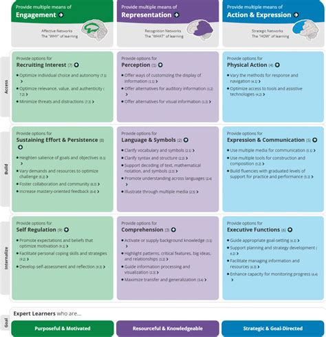 Universal Design For Learning Udl Saint Leo University Center For Teaching And Learning