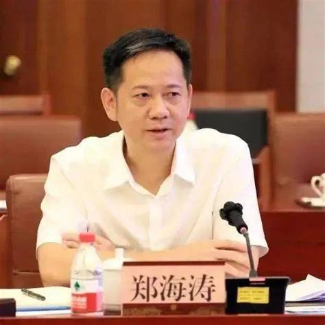 高埔人（郑海涛）任汕尾市代市长会议市政府报告