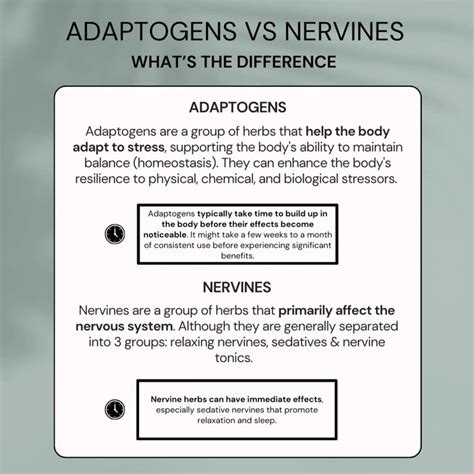 Adaptogens Vs Nervine Herbs Whats The Difference