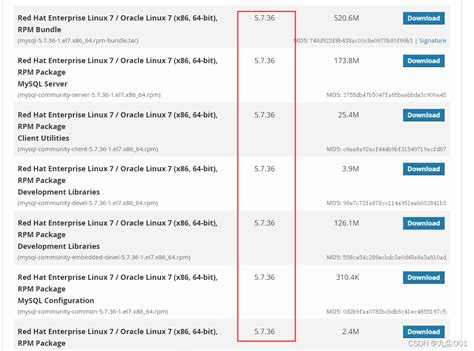 购买阿里云ecs服务器操作流程以及环境部署 阿里云服务器ecs配置教程 Csdn博客