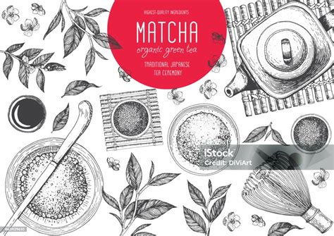 다도 일본 전통 말 차입니다 차가 게에 대 한 벡터 일러스트 레이 션 프레임입니다 빈티지 요소 디자인에 대 한입니다 손으로 그린된 스케치 그림 마카차에 대한 스톡 벡터 아트