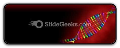 Dna PowerPoint Icon R