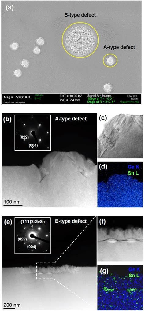 A Top View Sem Image Of Sample Sigesnge S1 B C D Cross Section