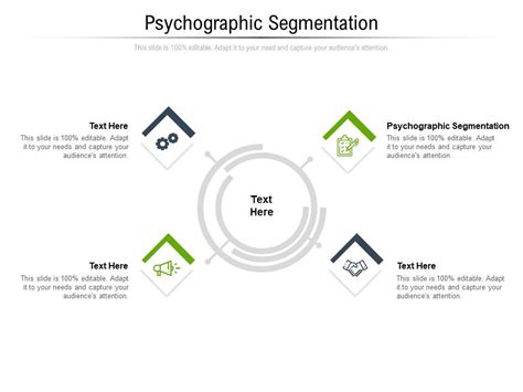 Psychographic Segmentation Ppt Powerpoint Presentation Summary Example Cpb