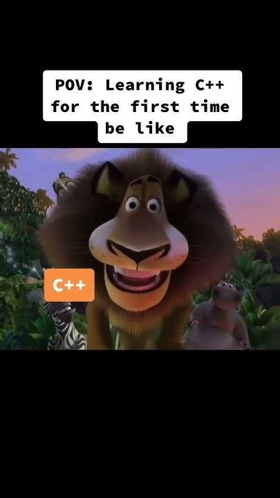 I Think Ill Stick With Python Computerscience Programmingcomedy Funny Support