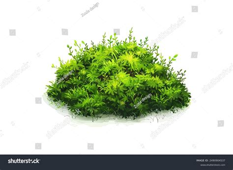 Lush Green Bushes Vector Illustration Design Stock Vector Royalty Free 2490904537 Shutterstock