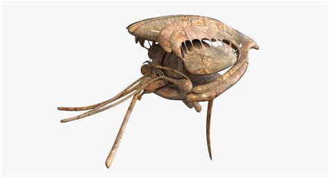 Obj Realistic Human Brain