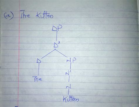 Solved Draw The DP Trees For The Follwoing Phrases A The Kitten B