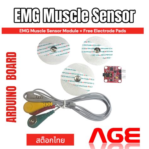 Emg Muscle Sensor Module Free Electrode Pads เซ็นเซอร์วัดแรงที่กล้ามเนื้อ Agebkk จำหน่ายและ