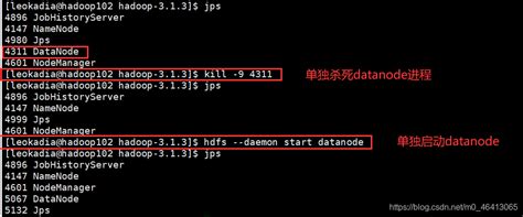 Hadoop入门十三——集群常用知识面试题与技巧总结no Args Input Csdn博客