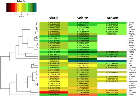 2d Hierarchical Clustering Analysis Exploring The Difference In Gene