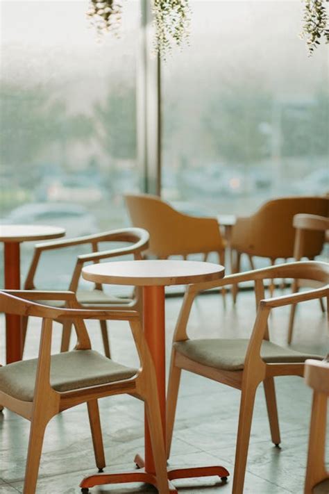 가구 건축의 나무 낮 녹지 도시의 디자인 따뜻한 분위기 레스토랑 매우 복잡한 목조 미니멀리스트 바닥 부드러운 색조 부드러운 선 스타일리시한 식사