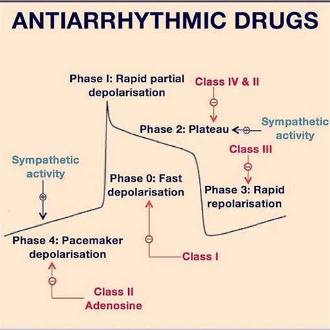 Anti Arrhythmic Drugs Effect Medizzy
