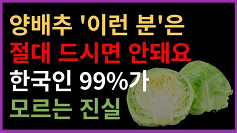 대부분 모르고 있었습니다 양배추를 먹으면 안되는 분들 양배추 효능 효과 양배추 먹는 방법 생 양배추와 찐 양배추