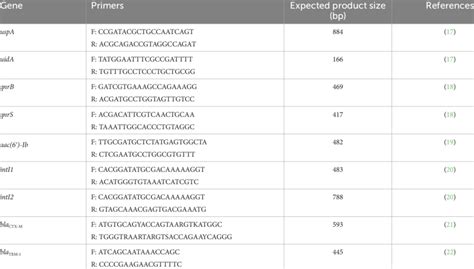 Oligonucleotide Sequences For E Coli Identification Antimicrobial Download Scientific Diagram