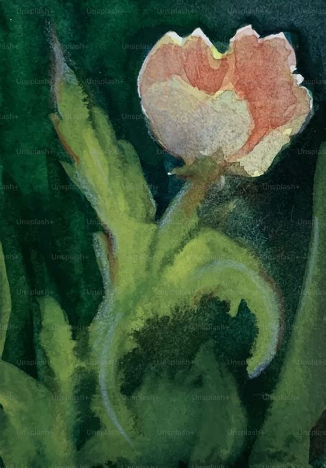 녹색 잎이 있는 분홍색 꽃의 그림 벡터 Unsplash의 배경 이미지