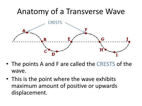 Drawing Of Transverse Wave